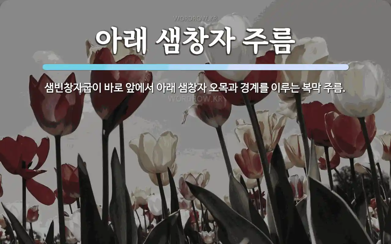 아래 샘창자 주름 뜻 샘빈창자굽이 바로 앞에서 아래 샘창자 오목과 경계를 이루는 복막 주름