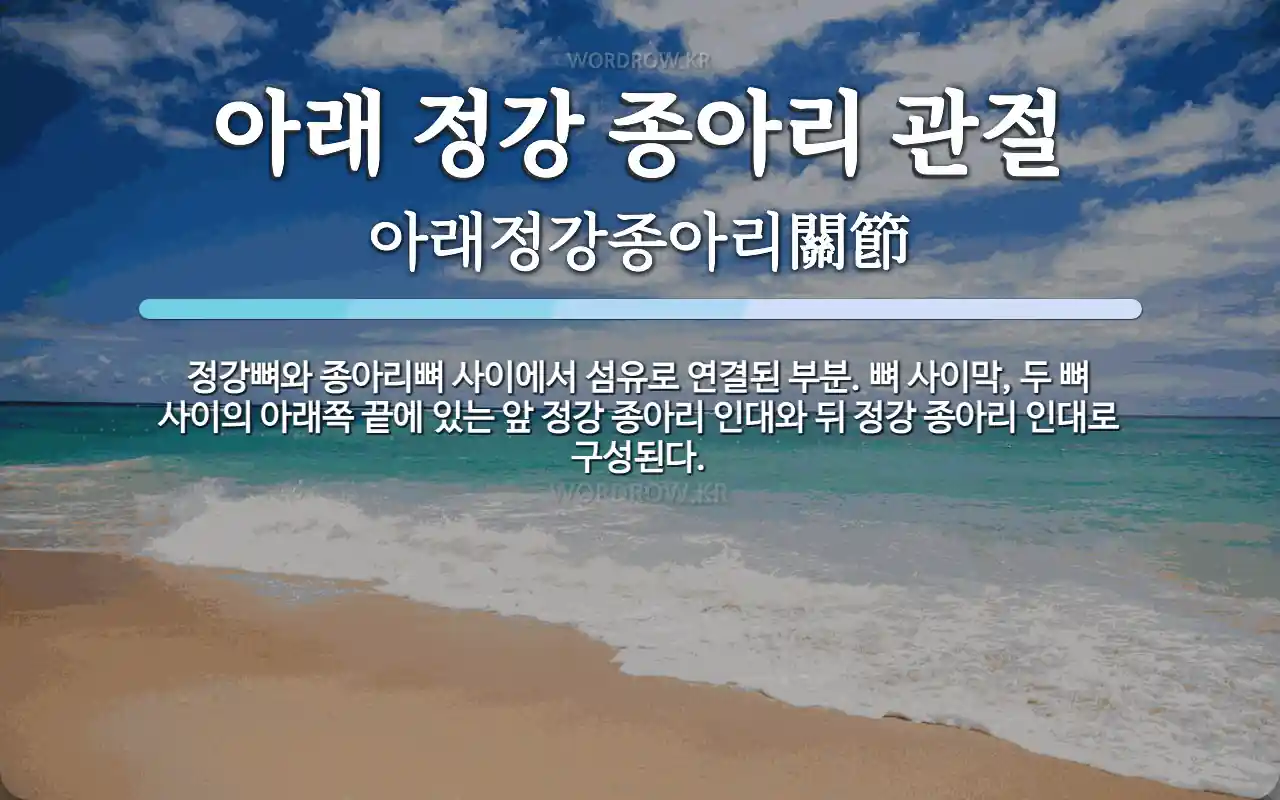 아래 정강 종아리 관절 뜻 정강뼈와 종아리뼈 사이에서 섬유로 연결된 부분 뼈 사이막 두 뼈 사이의 아래쪽 끝에 있