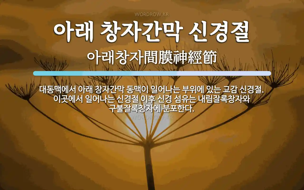 아래 창자간막 신경절 뜻 대동맥에서 아래 창자간막 동맥이 일어나는 부위에 있는 교감 신경절 이곳에서 일어나는 신경