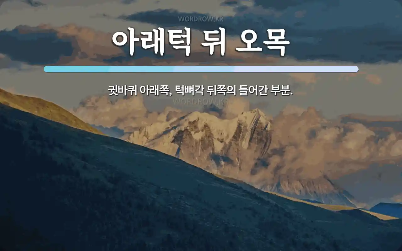 아래턱 뒤 오목 뜻 귓바퀴 아래쪽 턱뼈각 뒤쪽의 들어간 부분