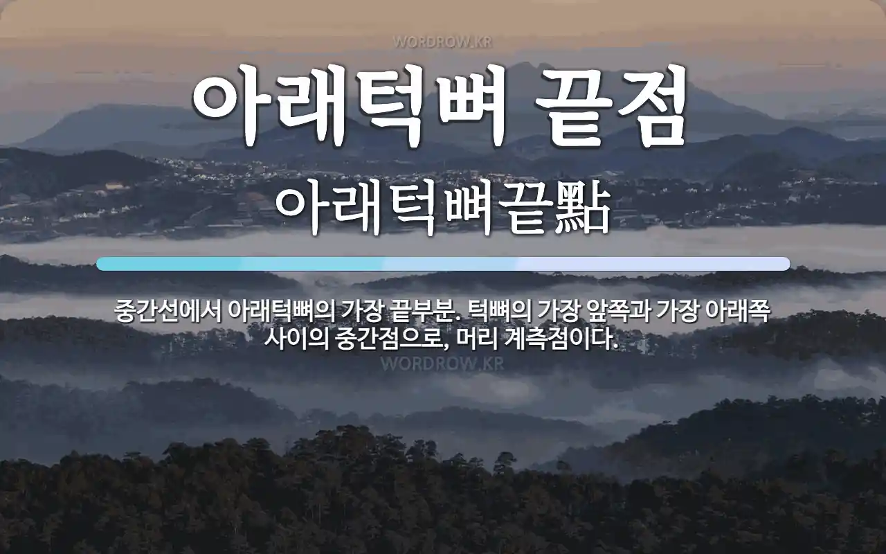아래턱뼈 끝점 뜻 중간선에서 아래턱뼈의 가장 끝부분 턱뼈의 가장 앞쪽과 가장 아래쪽 사이의 중간점으로 머