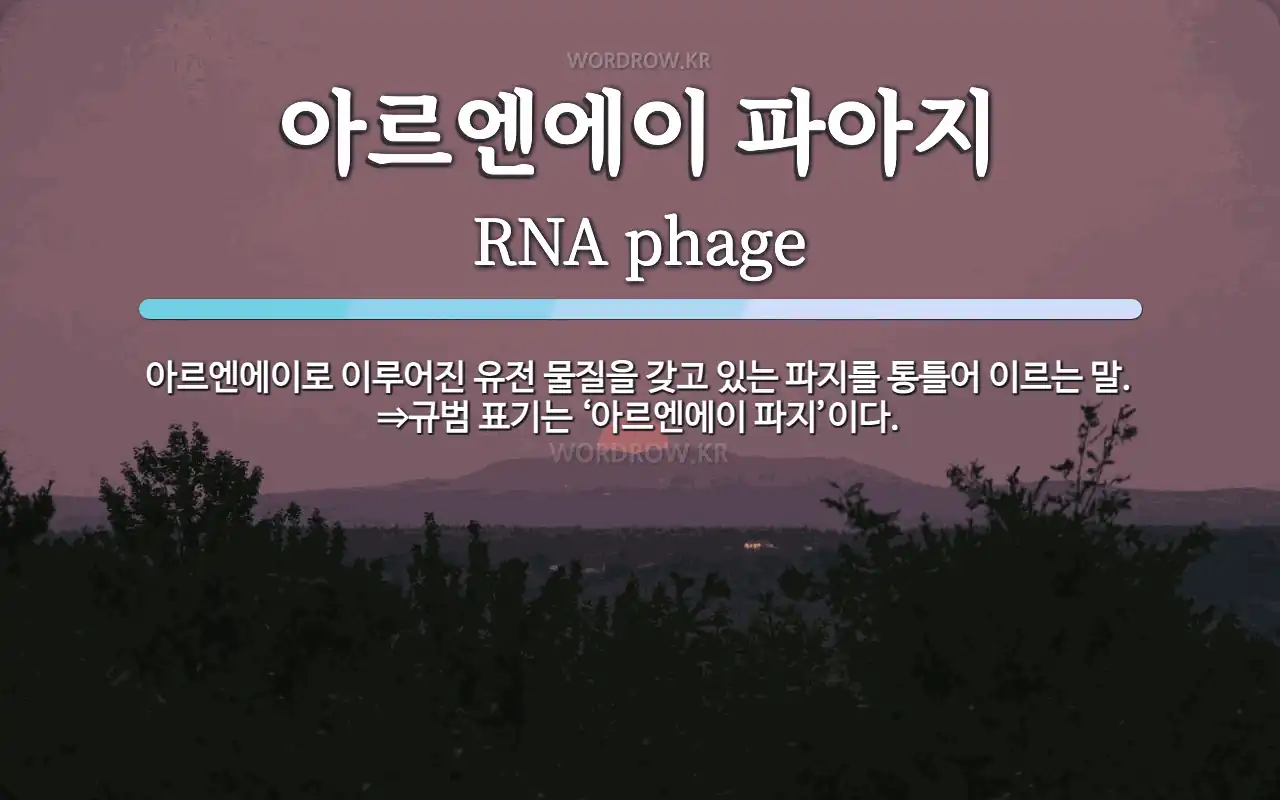 아르엔에이 파아지 뜻 아르엔에이로 이루어진 유전 물질을 갖고 있는 파지를 통틀어 이르는 말 ⇒규범 표기는 ‘아