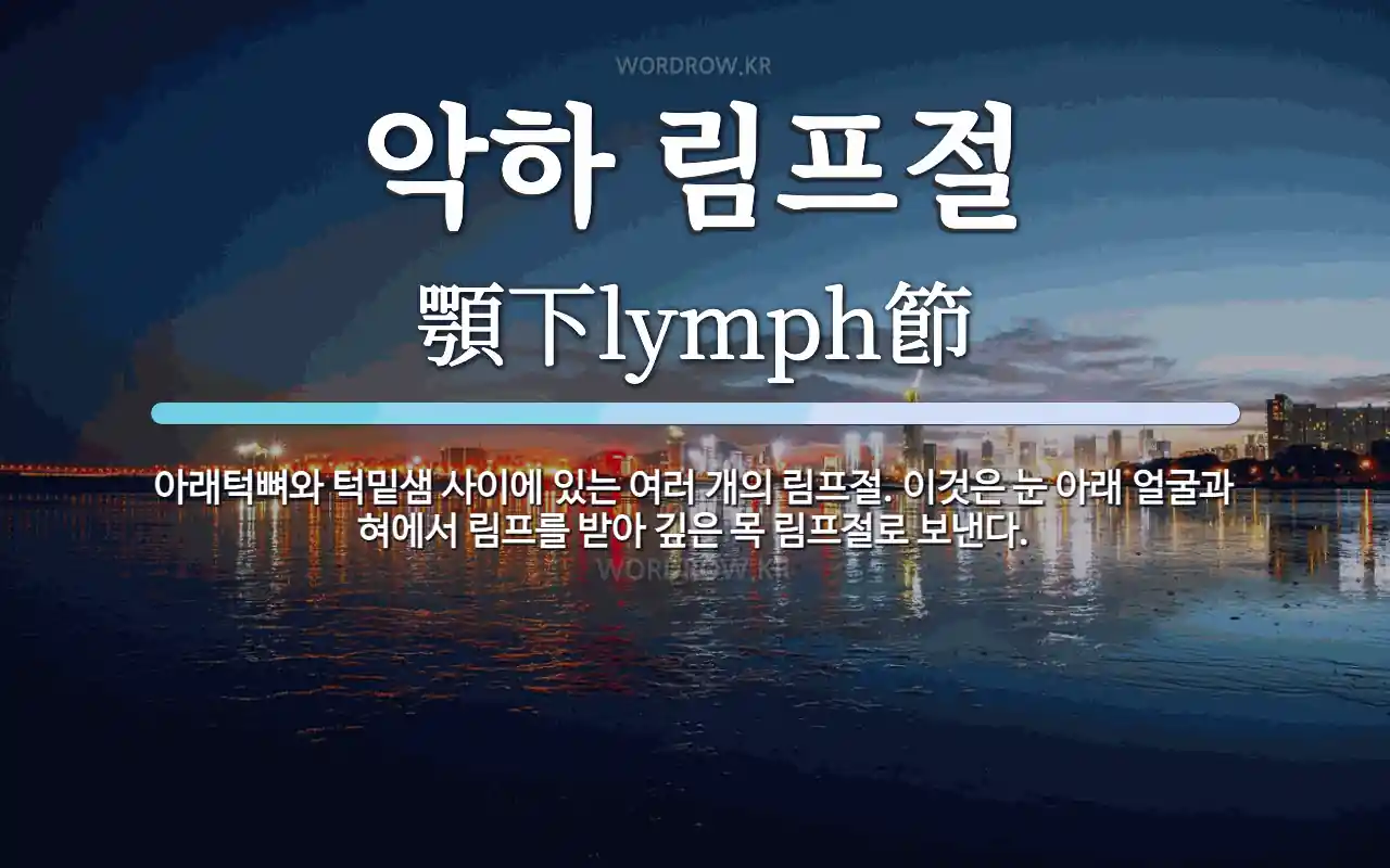 악하 림프절 뜻 아래턱뼈와 턱밑샘 사이에 있는 여러 개의 림프절 이것은 눈 아래 얼굴과 혀에서 림프를 받