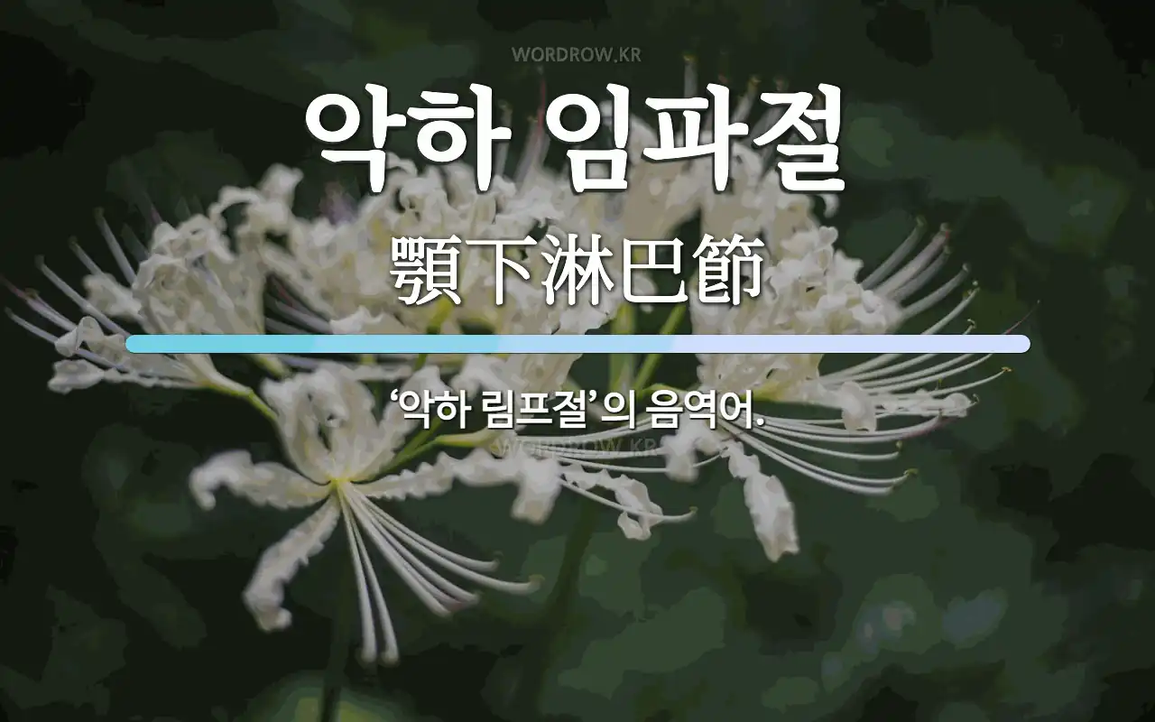 악하 임파절 뜻 ‘악하 림프절의 음역어