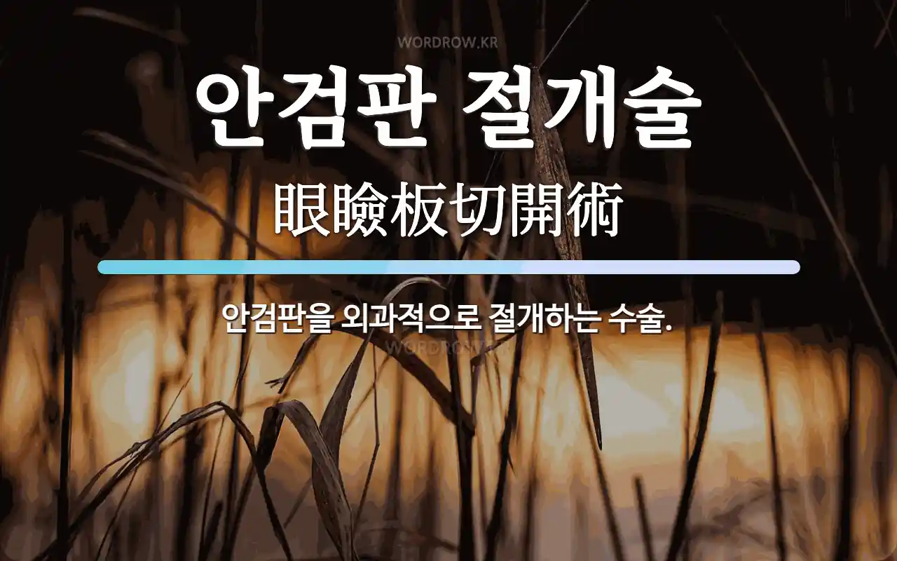 안검판 절개술 뜻 안검판을 외과적으로 절개하는 수술