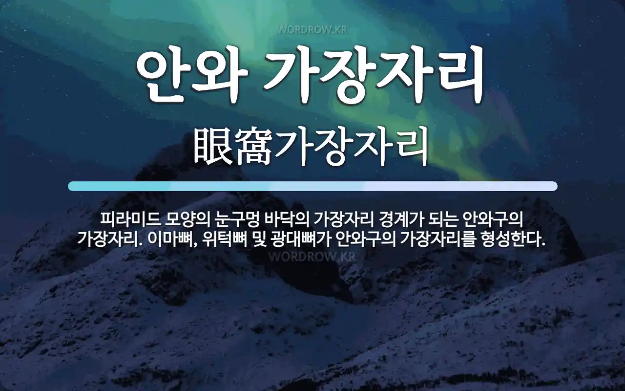 안와 가장자리 뜻 피라미드 모양의 눈구멍 바닥의 가장자리 경계가 되는 안와구의 가장자리 이마뼈 위턱뼈 및