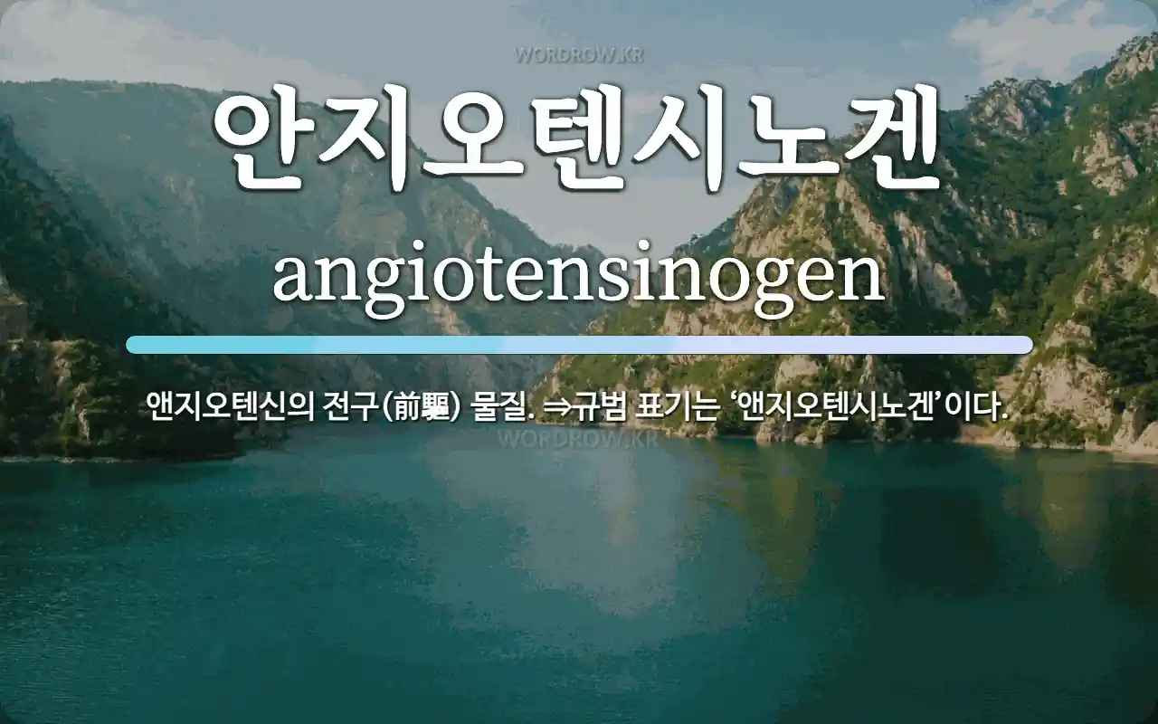 안지오텐시노겐 뜻 앤지오텐신의 전구前驅 물질 ⇒규범 표기는 ‘앤지오텐시노겐이다