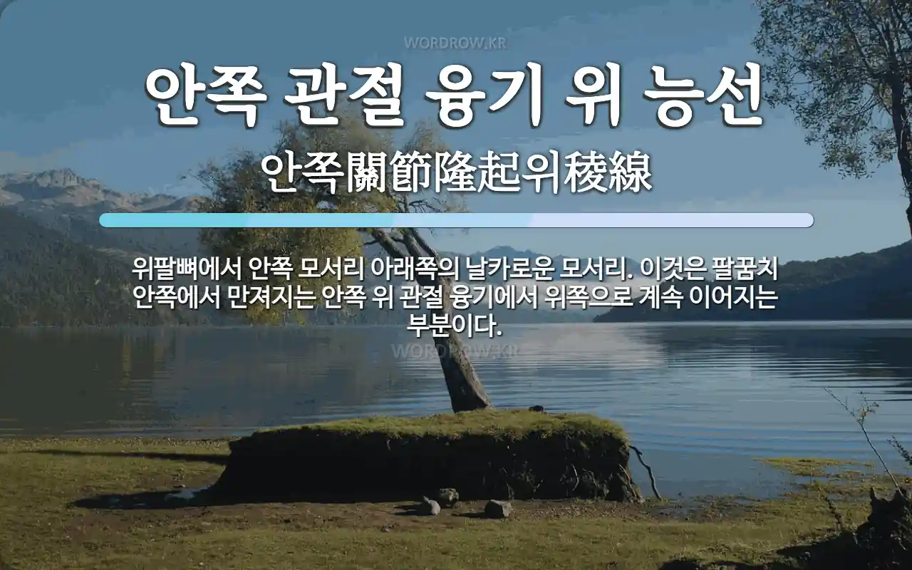 안쪽 관절 융기 위 능선 뜻 위팔뼈에서 안쪽 모서리 아래쪽의 날카로운 모서리 이것은 팔꿈치 안쪽에서 만져지는 안쪽 위