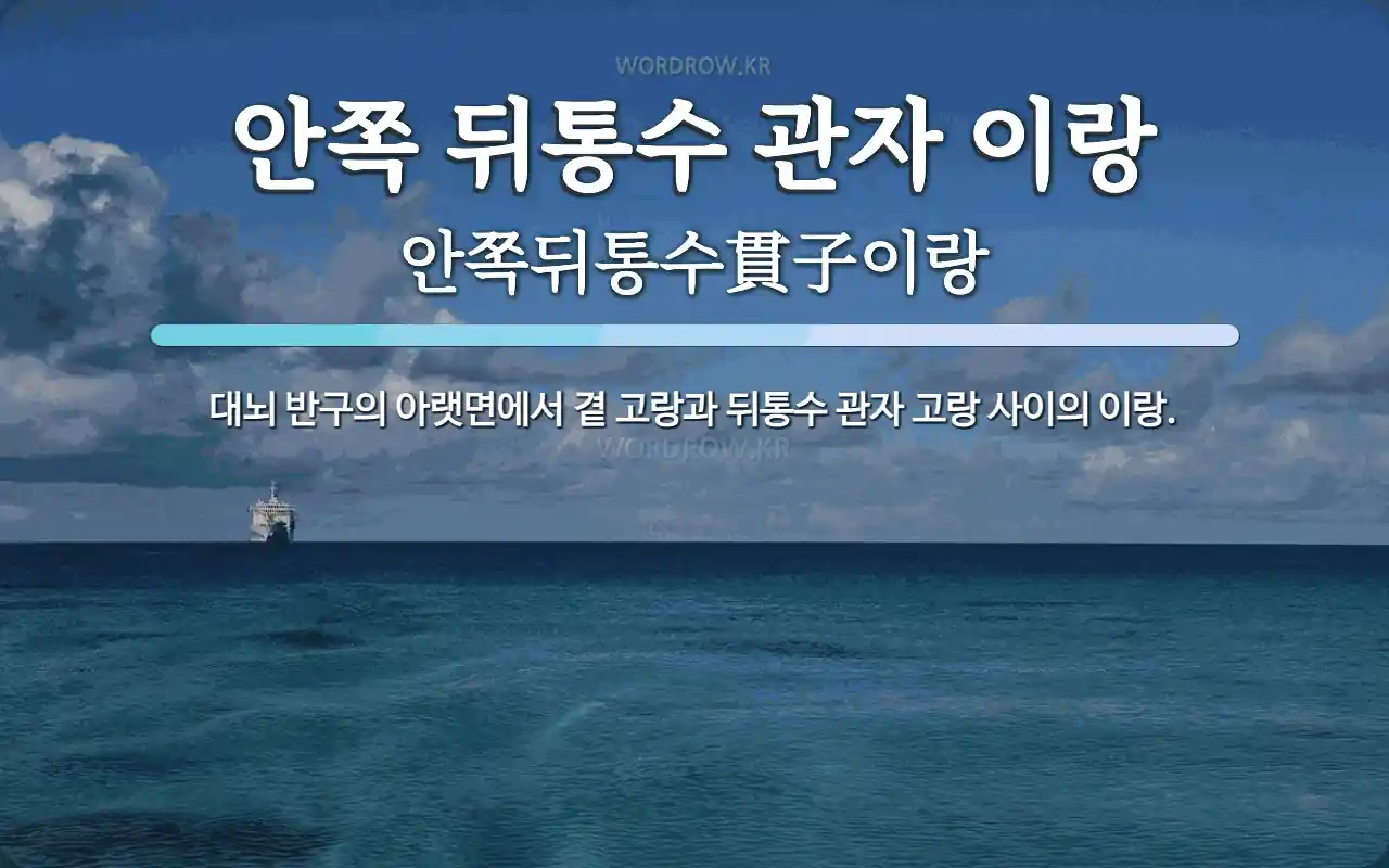안쪽 뒤통수 관자 이랑 뜻 대뇌 반구의 아랫면에서 곁 고랑과 뒤통수 관자 고랑 사이의 이랑