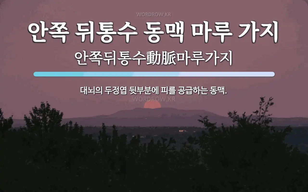 안쪽 뒤통수 동맥 마루 가지 뜻 대뇌의 두정엽 뒷부분에 피를 공급하는 동맥