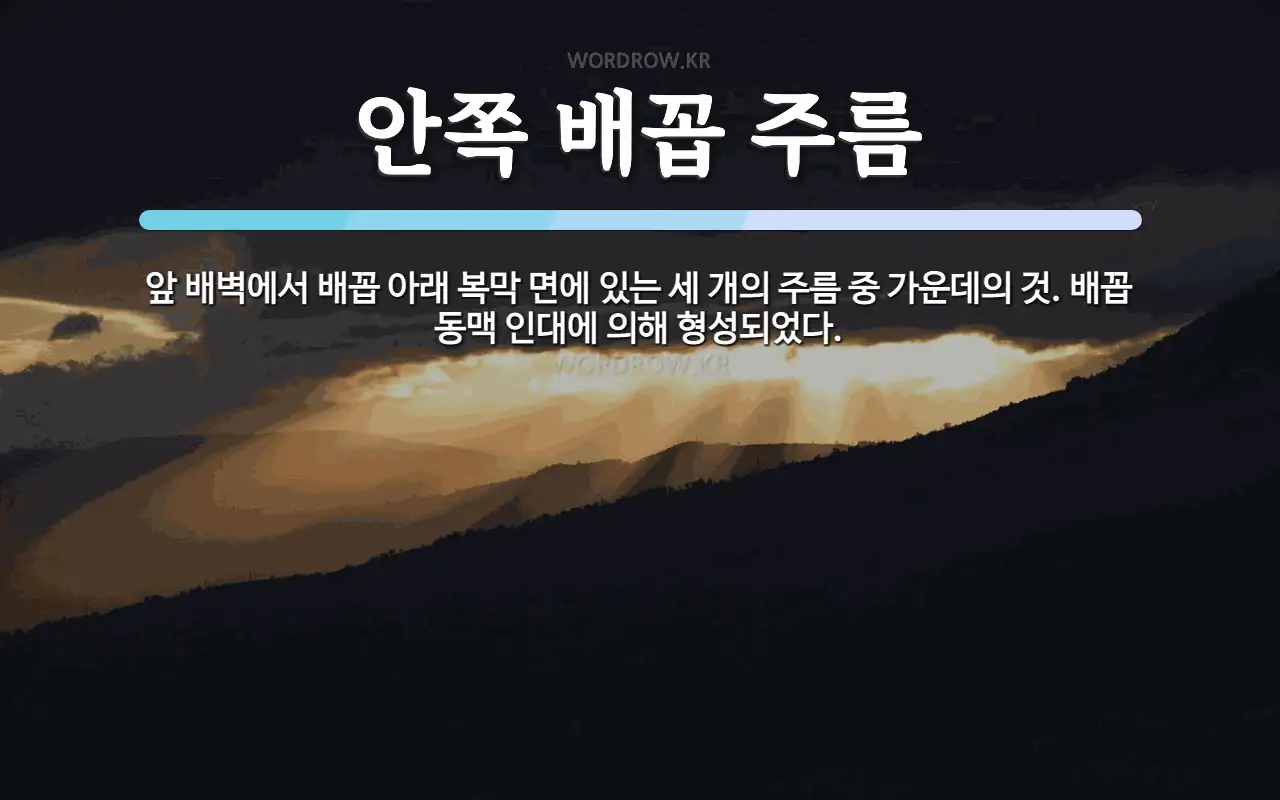 안쪽 배꼽 주름 뜻 앞 배벽에서 배꼽 아래 복막 면에 있는 세 개의 주름 중 가운데의 것 배꼽 동맥 인대에