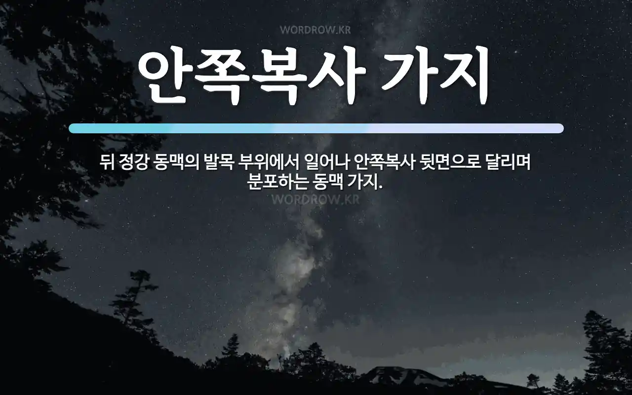 안쪽복사 가지 뜻 뒤 정강 동맥의 발목 부위에서 일어나 안쪽복사 뒷면으로 달리며 분포하는 동맥 가지