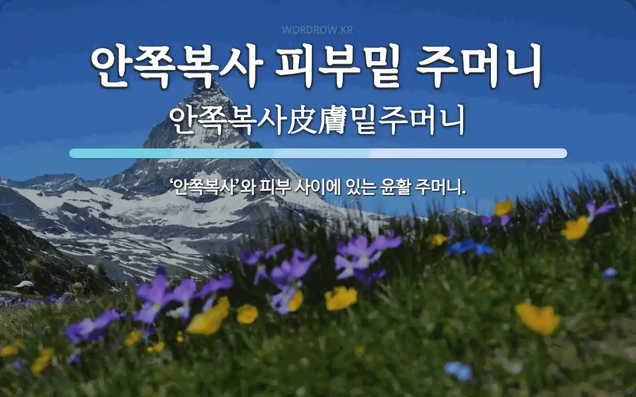 안쪽복사 피부밑 주머니 뜻 ‘안쪽복사와 피부 사이에 있는 윤활 주머니