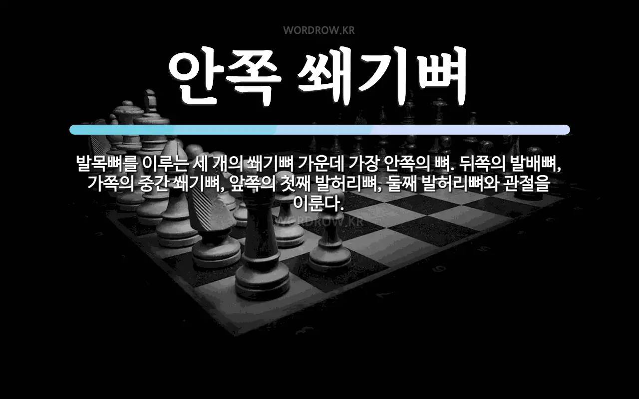 안쪽 쐐기뼈 뜻 발목뼈를 이루는 세 개의 쐐기뼈 가운데 가장 안쪽의 뼈 뒤쪽의 발배뼈 가쪽의 중간 쐐기