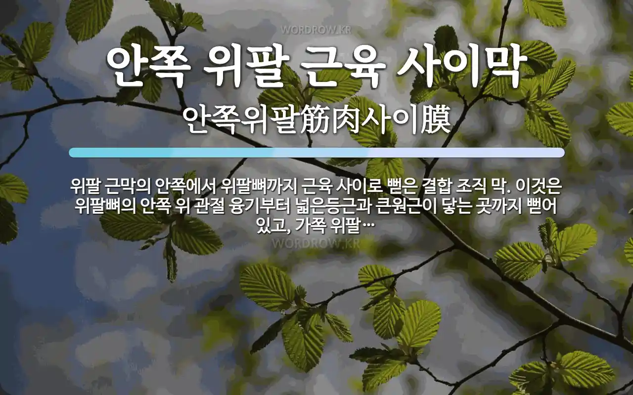 안쪽 위팔 근육 사이막 뜻 위팔 근막의 안쪽에서 위팔뼈까지 근육 사이로 뻗은 결합 조직 막 이것은 위팔뼈의 안쪽 위