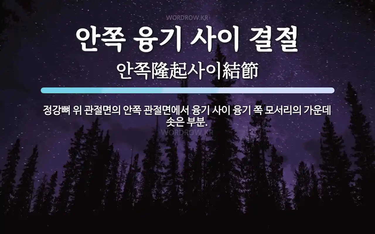 안쪽 융기 사이 결절 뜻 정강뼈 위 관절면의 안쪽 관절면에서 융기 사이 융기 쪽 모서리의 가운데 솟은 부분