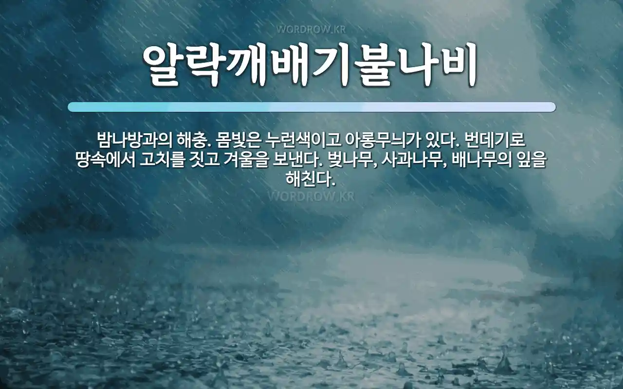 알락깨배기불나비 뜻 밤나방과의 해충 몸빛은 누런색이고 아롱무늬가 있다 번데기로 땅속에서 고치를 짓고 겨울을