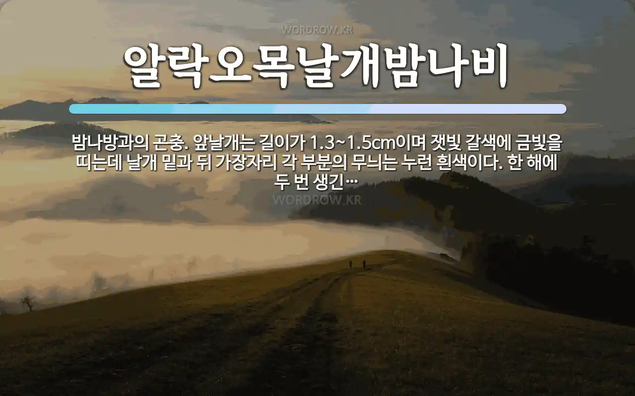 알락오목날개밤나비 뜻 밤나방과의 곤충 앞날개는 길이가 13~15cm이며 잿빛 갈색에 금빛을 띠는데 날개 밑