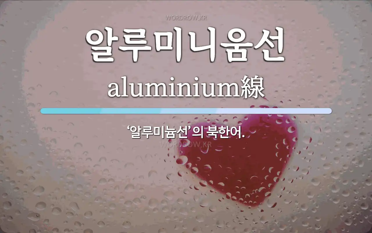 알루미니움선 뜻 ‘알루미늄선의 북한어