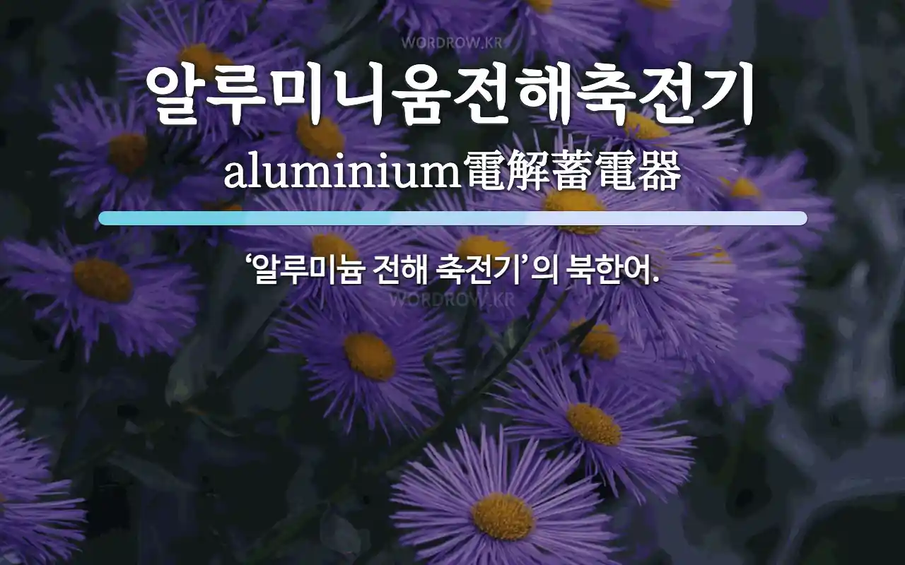 알루미니움전해축전기 뜻 ‘알루미늄 전해 축전기의 북한어