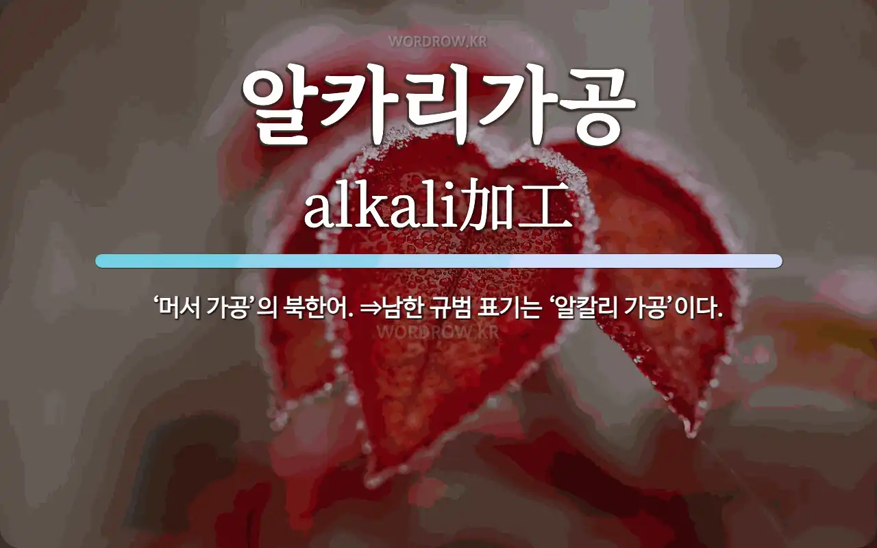 알카리가공 뜻 ‘머서 가공의 북한어 ⇒남한 규범 표기는 ‘알칼리 가공이다