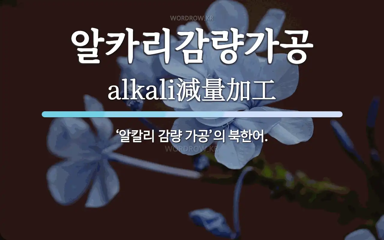 알카리감량가공 뜻 ‘알칼리 감량 가공의 북한어