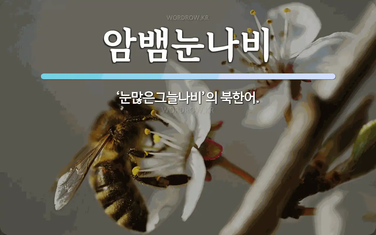 암뱀눈나비 뜻 ‘눈많은그늘나비의 북한어