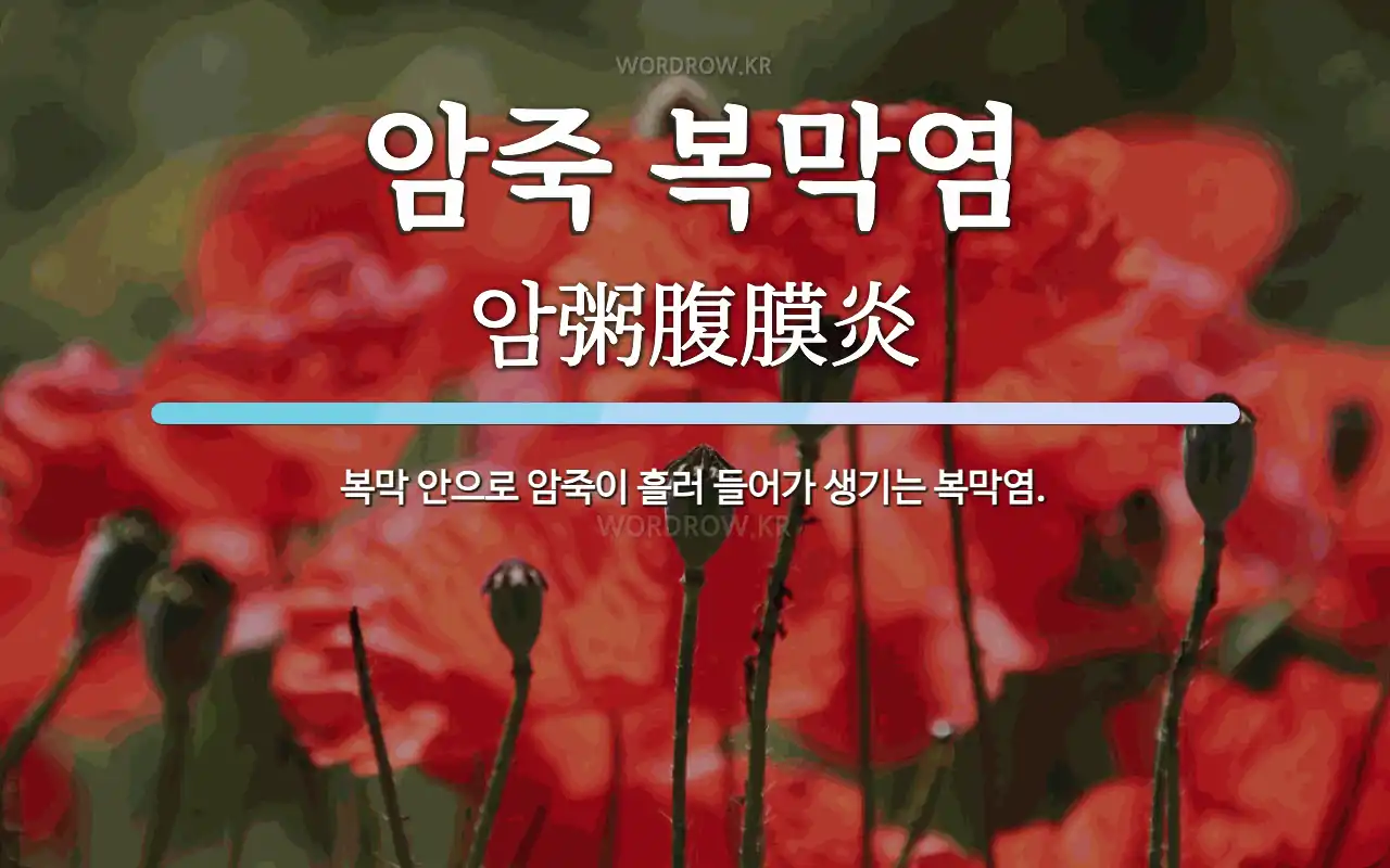 암죽 복막염 뜻 복막 안으로 암죽이 흘러 들어가 생기는 복막염