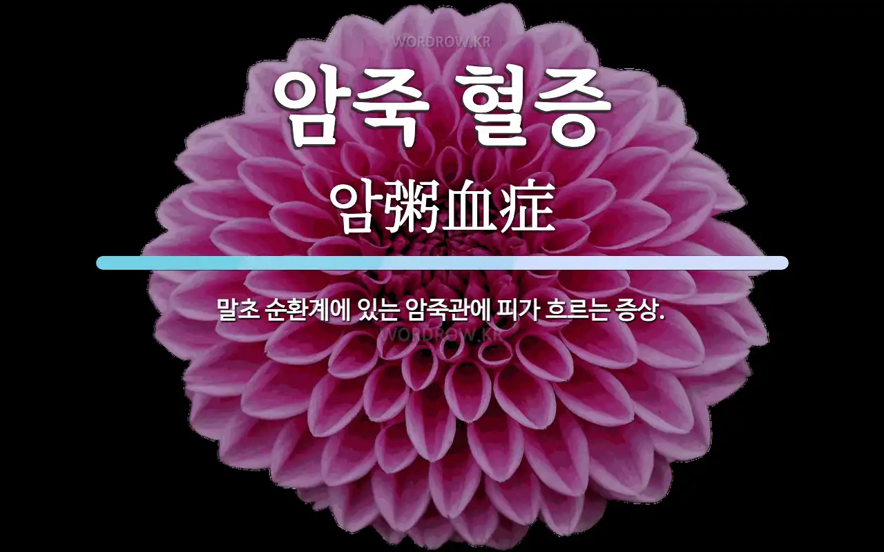 암죽 혈증 뜻 말초 순환계에 있는 암죽관에 피가 흐르는 증상