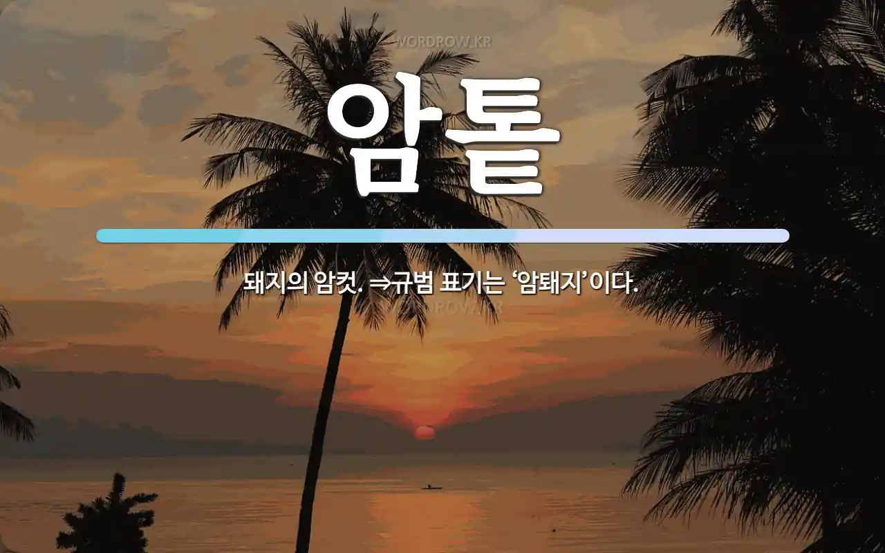 암톹 뜻 돼지의 암컷 ⇒규범 표기는 ‘암퇘지이다
