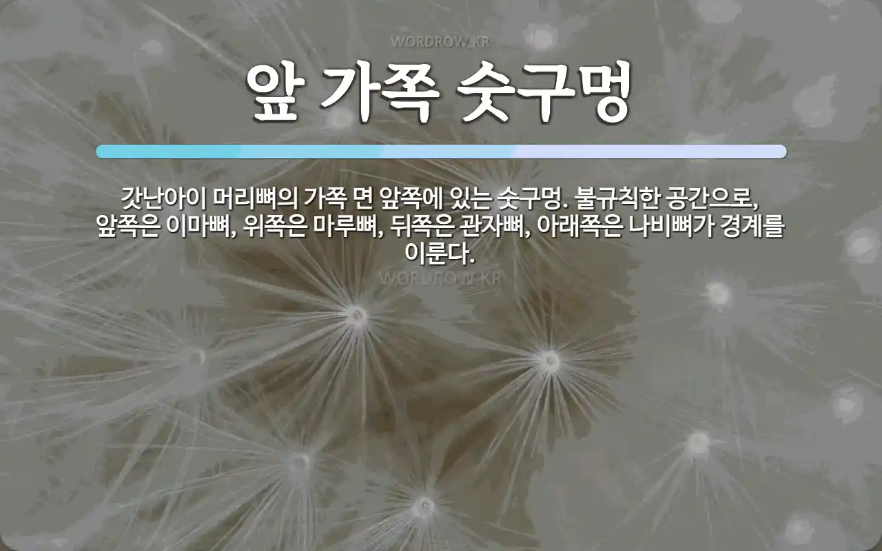 앞 가쪽 숫구멍 뜻 갓난아이 머리뼈의 가쪽 면 앞쪽에 있는 숫구멍 불규칙한 공간으로 앞쪽은 이마뼈 위쪽은