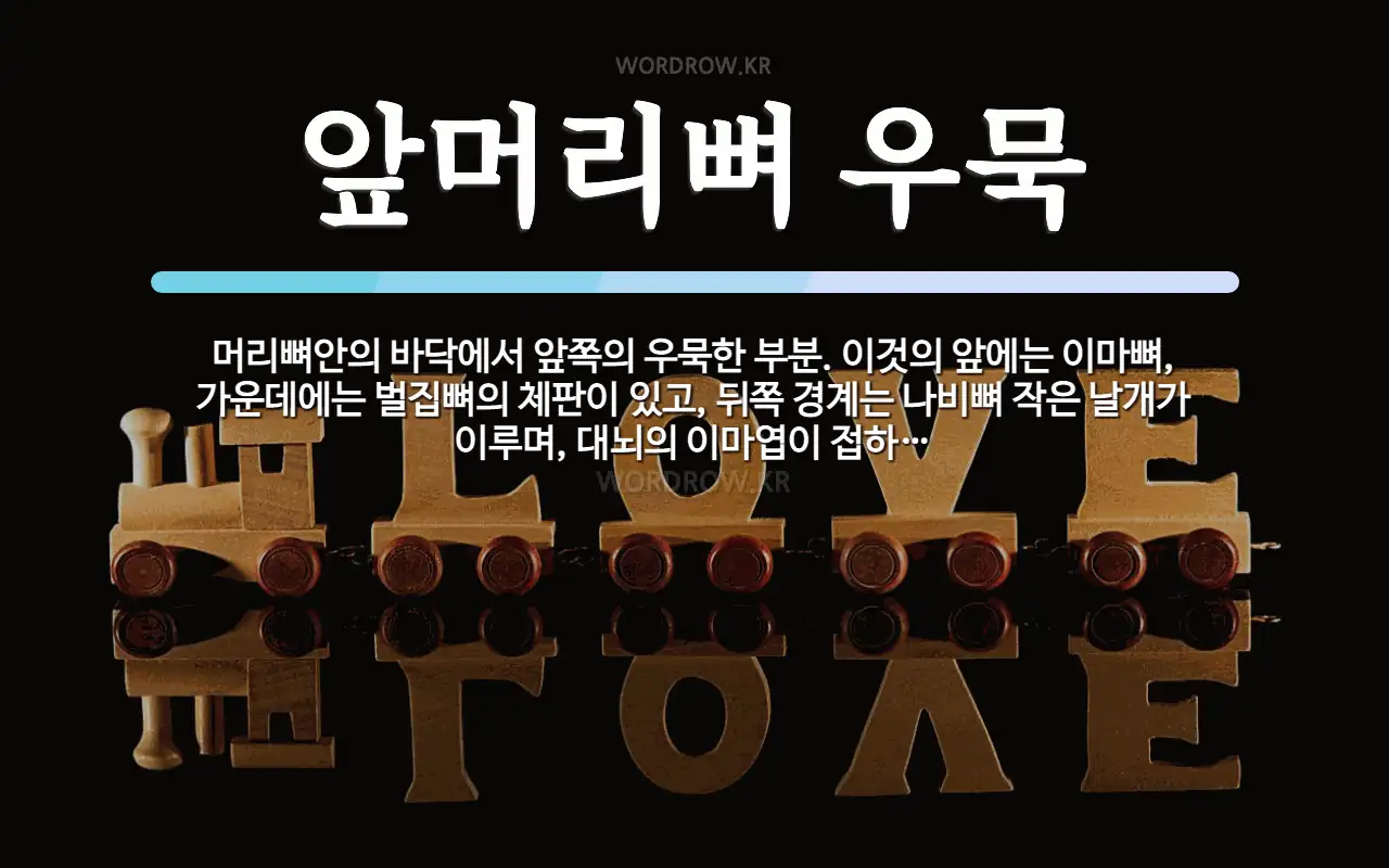 앞머리뼈 우묵 뜻 머리뼈안의 바닥에서 앞쪽의 우묵한 부분 이것의 앞에는 이마뼈 가운데에는 벌집뼈의 체판이