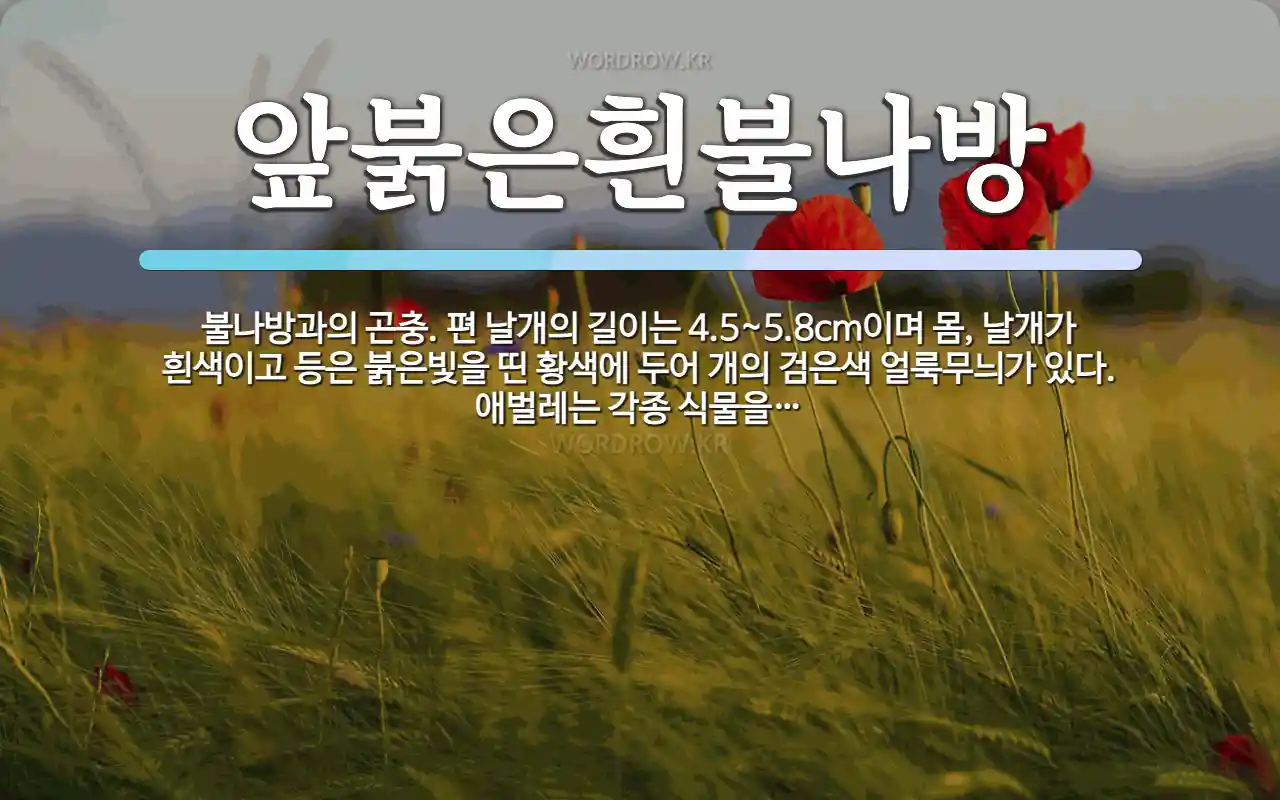 앞붉은흰불나방 뜻 불나방과의 곤충 편 날개의 길이는 45~58cm이며 몸 날개가 흰색이고 등은 붉은빛