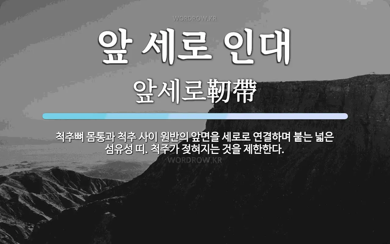 앞 세로 인대 뜻 척추뼈 몸통과 척추 사이 원반의 앞면을 세로로 연결하며 붙는 넓은 섬유성 띠 척주가 젖혀