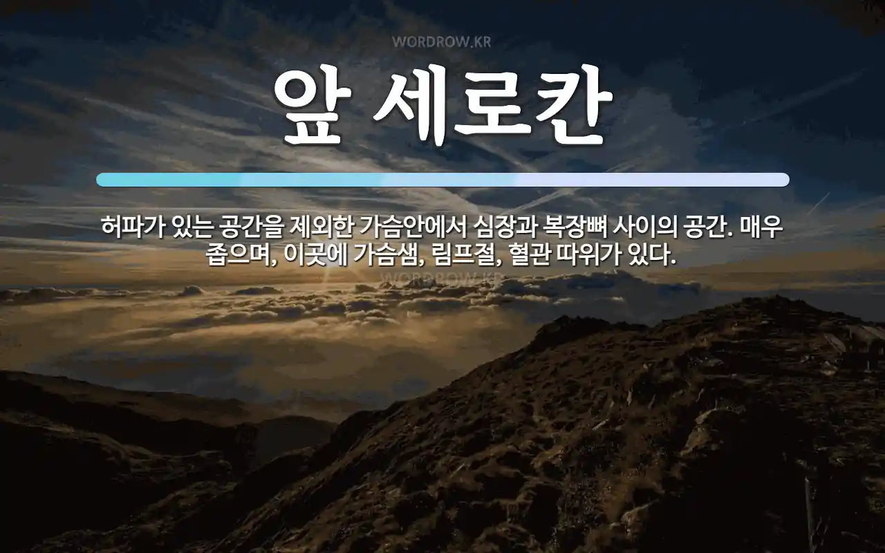 앞 세로칸 뜻 허파가 있는 공간을 제외한 가슴안에서 심장과 복장뼈 사이의 공간 매우 좁으며 이곳에 가