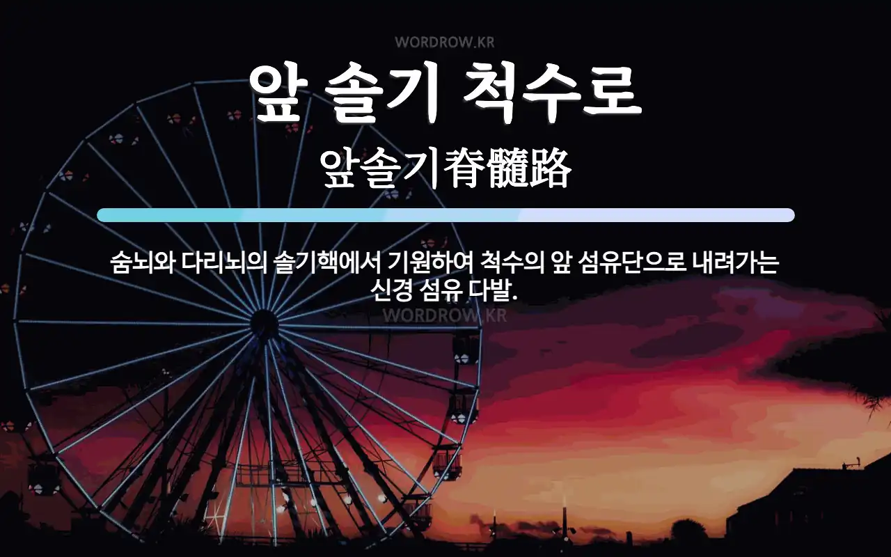 앞 솔기 척수로 뜻 숨뇌와 다리뇌의 솔기핵에서 기원하여 척수의 앞 섬유단으로 내려가는 신경 섬유 다발
