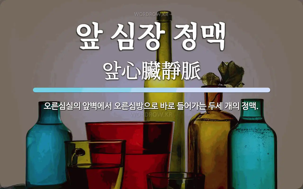 앞 심장 정맥 뜻 오른심실의 앞벽에서 오른심방으로 바로 들어가는 두세 개의 정맥