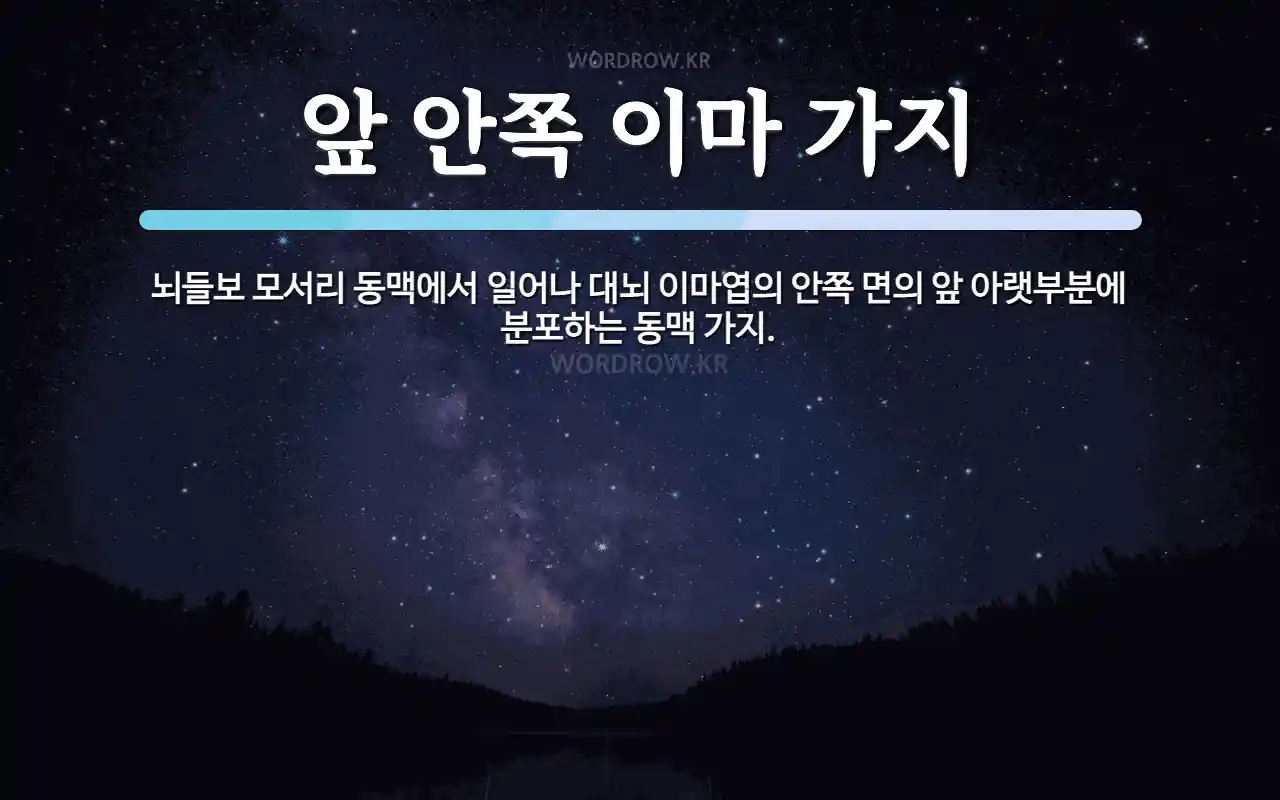 앞 안쪽 이마 가지 뜻 뇌들보 모서리 동맥에서 일어나 대뇌 이마엽의 안쪽 면의 앞 아랫부분에 분포하는 동맥 가지