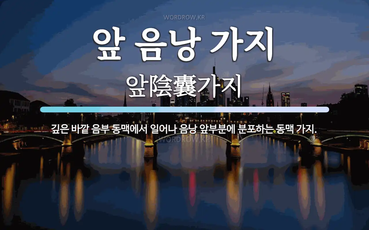 앞 음낭 가지 뜻 깊은 바깥 음부 동맥에서 일어나 음낭 앞부분에 분포하는 동맥 가지