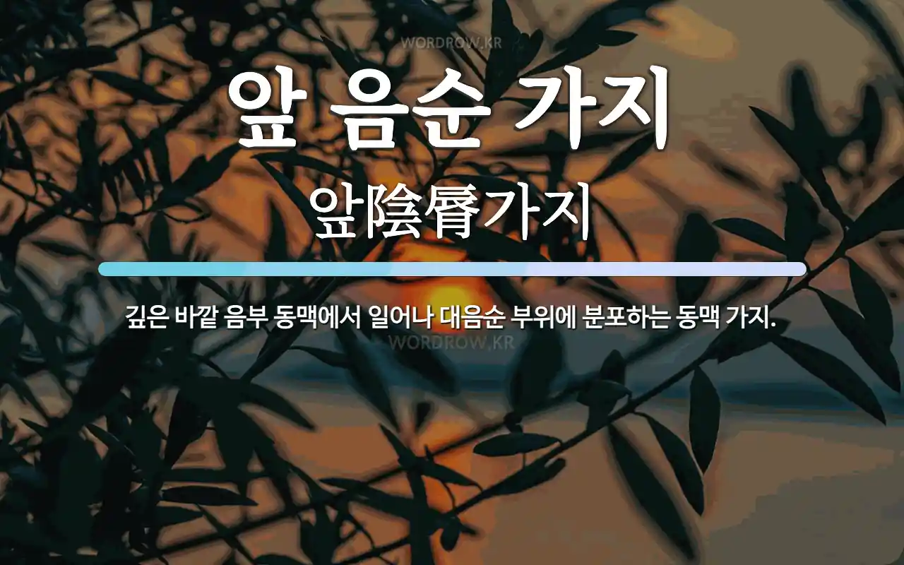 앞 음순 가지 뜻 깊은 바깥 음부 동맥에서 일어나 대음순 부위에 분포하는 동맥 가지