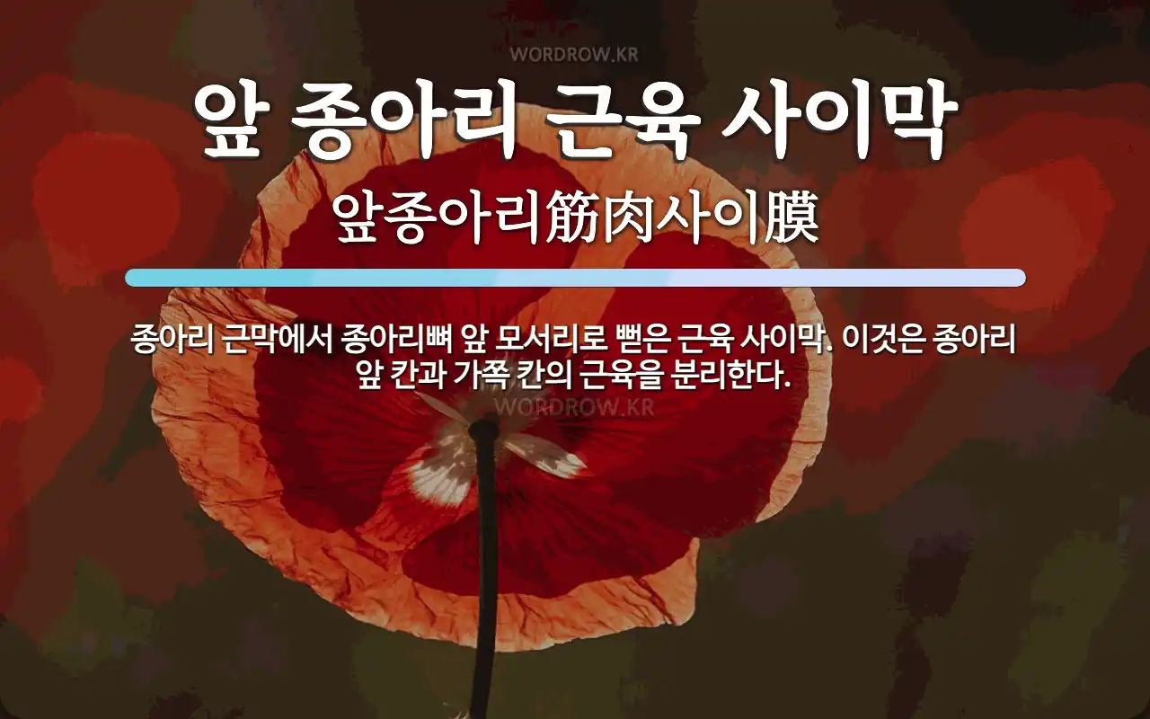 앞 종아리 근육 사이막 뜻 종아리 근막에서 종아리뼈 앞 모서리로 뻗은 근육 사이막 이것은 종아리 앞 칸과 가쪽 칸의