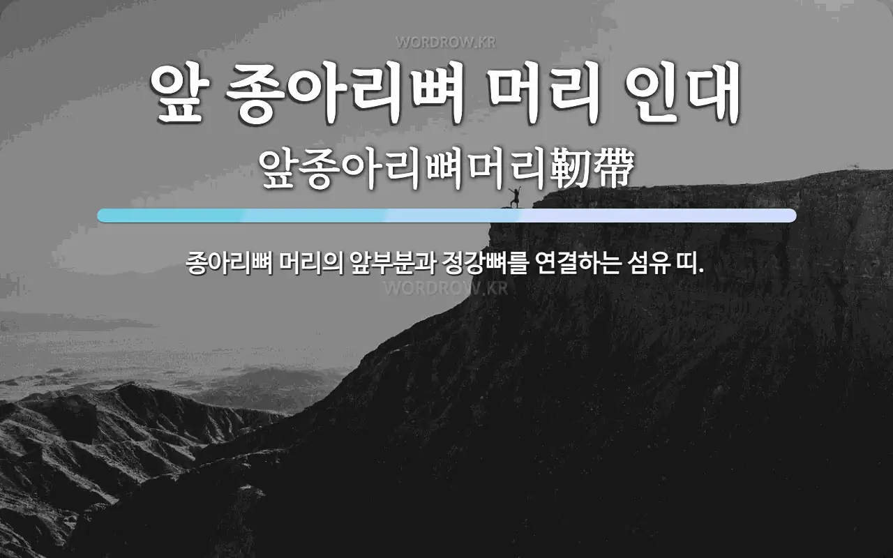 앞 종아리뼈 머리 인대 뜻 종아리뼈 머리의 앞부분과 정강뼈를 연결하는 섬유 띠