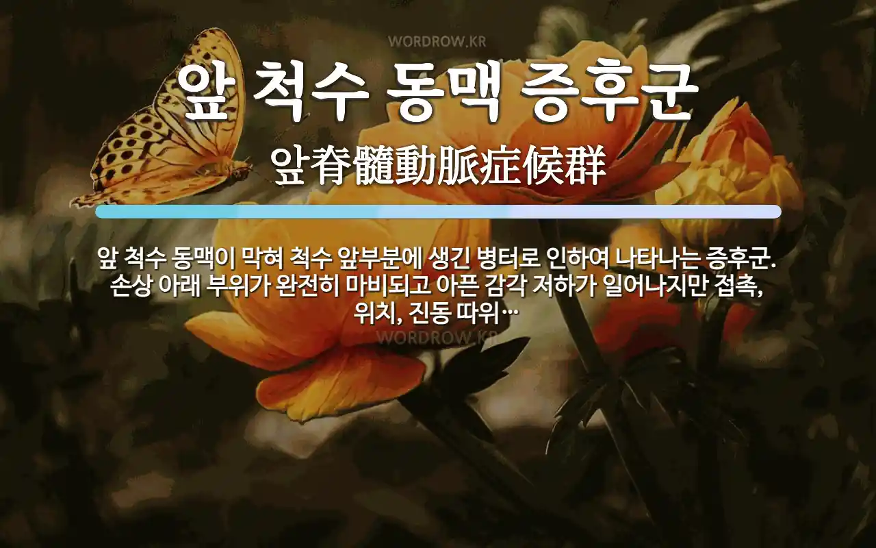앞 척수 동맥 증후군 뜻 앞 척수 동맥이 막혀 척수 앞부분에 생긴 병터로 인하여 나타나는 증후군 손상 아래 부위가