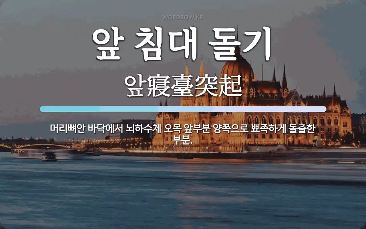앞 침대 돌기 뜻 머리뼈안 바닥에서 뇌하수체 오목 앞부분 양쪽으로 뾰족하게 돌출한 부분