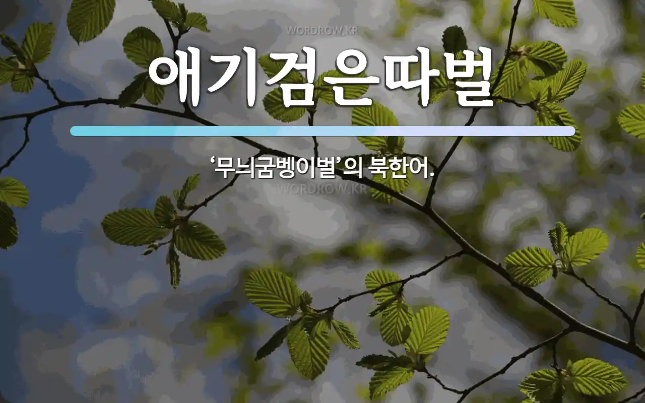 애기검은따벌 뜻 ‘무늬굼벵이벌의 북한어