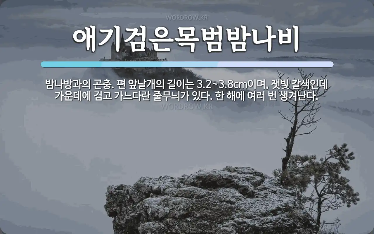 애기검은목범밤나비 뜻 밤나방과의 곤충 편 앞날개의 길이는 32~38cm이며 잿빛 갈색인데 가운데에 검고
