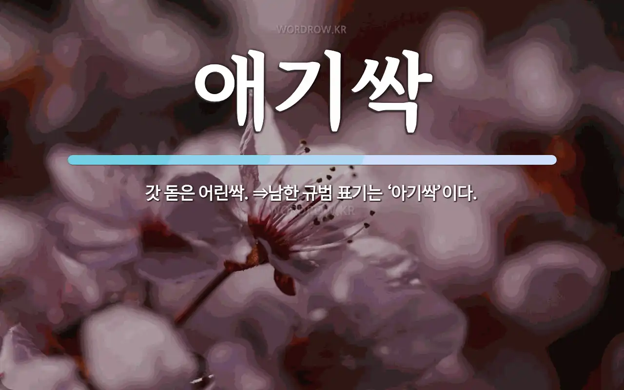 애기싹 뜻 갓 돋은 어린싹 ⇒남한 규범 표기는 ‘아기싹이다