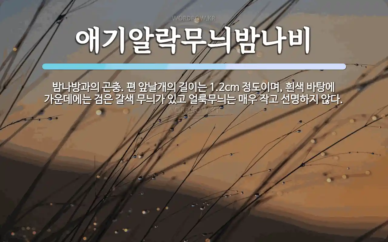 애기알락무늬밤나비 뜻 밤나방과의 곤충 편 앞날개의 길이는 12cm 정도이며 흰색 바탕에 가운데에는 검은 갈