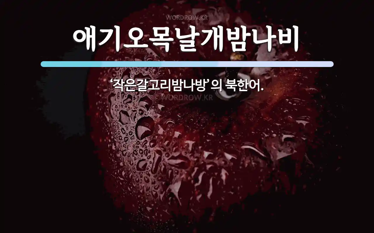 애기오목날개밤나비 뜻 ‘작은갈고리밤나방의 북한어