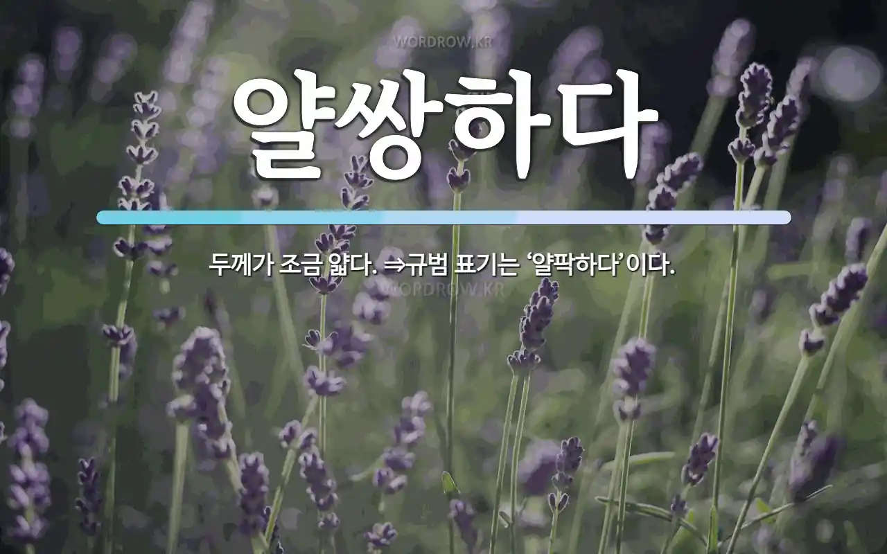 얄쌍하다 뜻 두께가 조금 얇다 ⇒규범 표기는 ‘얄팍하다이다